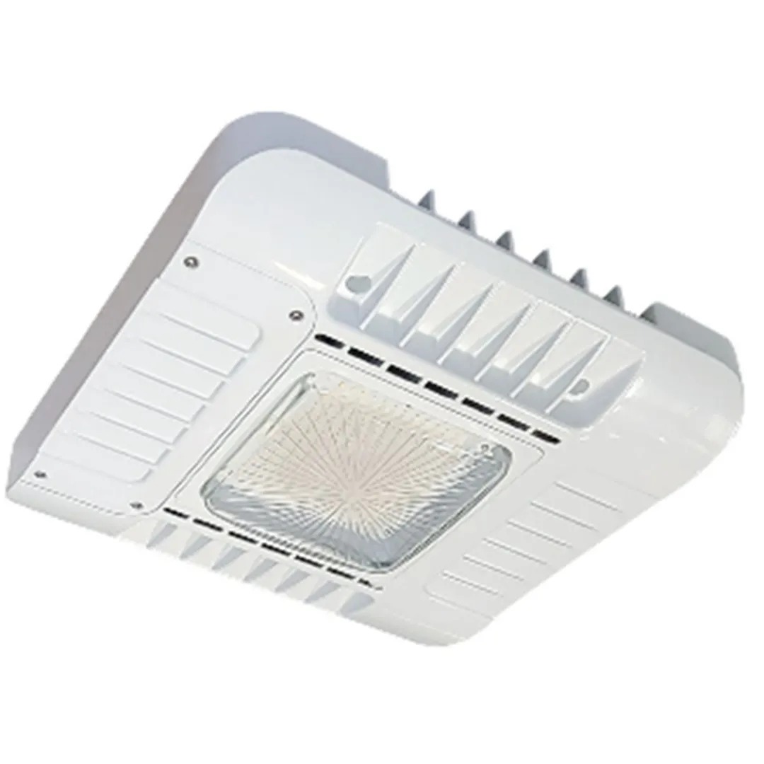 Luminaria LED tipo Canopy, 100 watts, 15556 lúmenes, HUBBELL LIGHTING